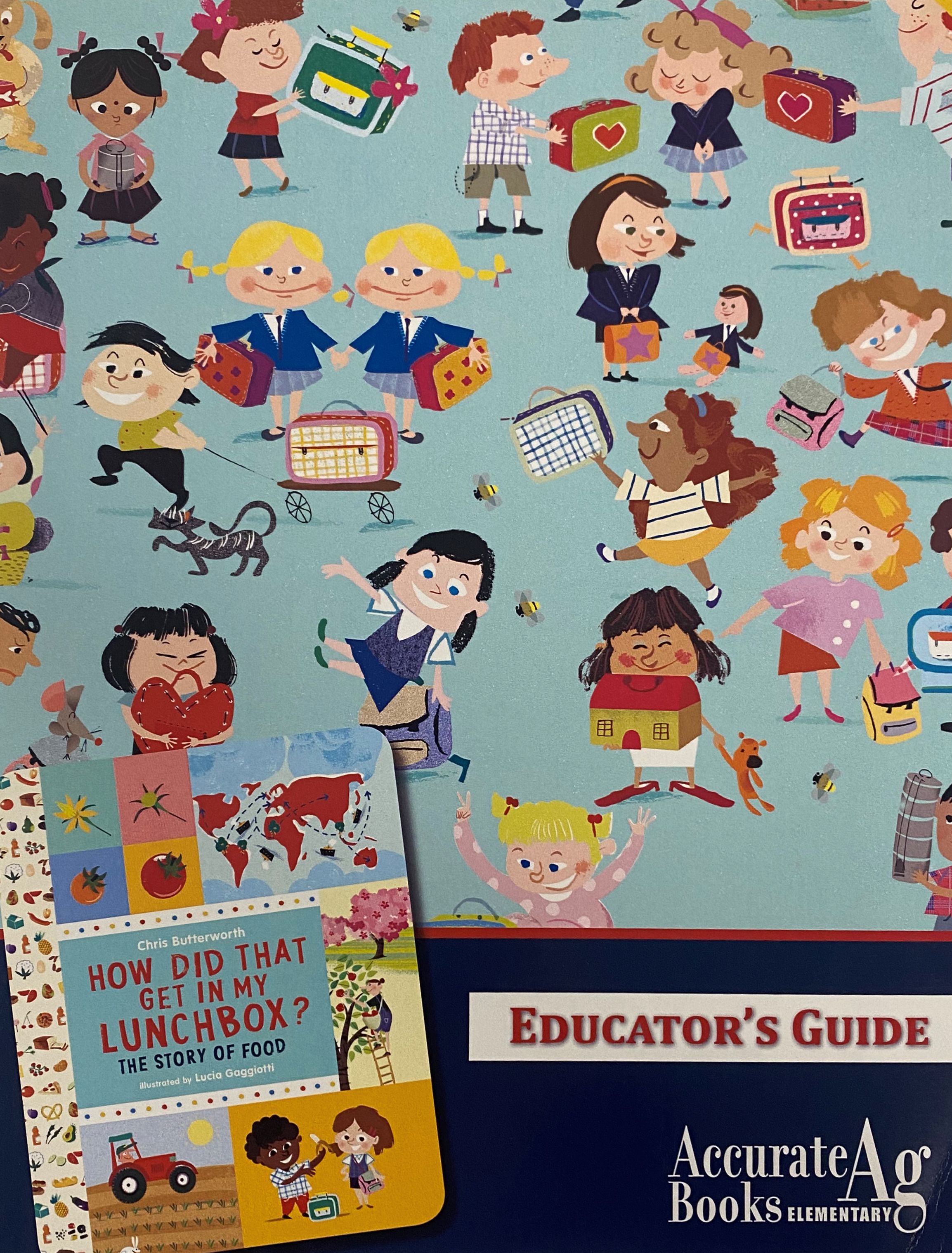 How Did That Get in my Lunchbox?